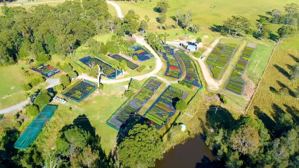 Killuke Nursery Garden And Landscaping Plants
